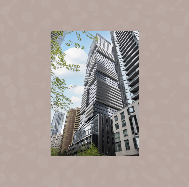 55C THE CAPSULE COLLECTION